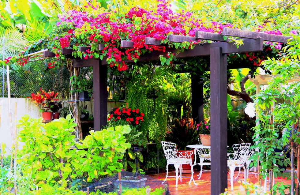 7 Best Perennials For Florida To Add To Your Garden This Spring